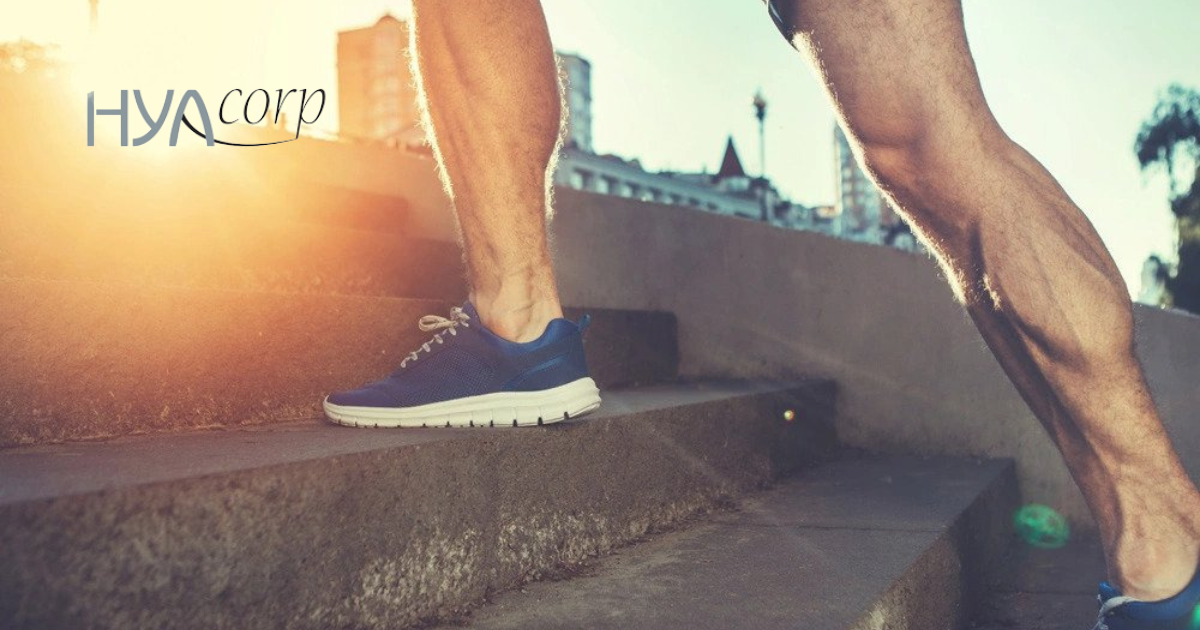 Augmentarea gambei cu sau fără acid hialuronic? - ITALTRADE